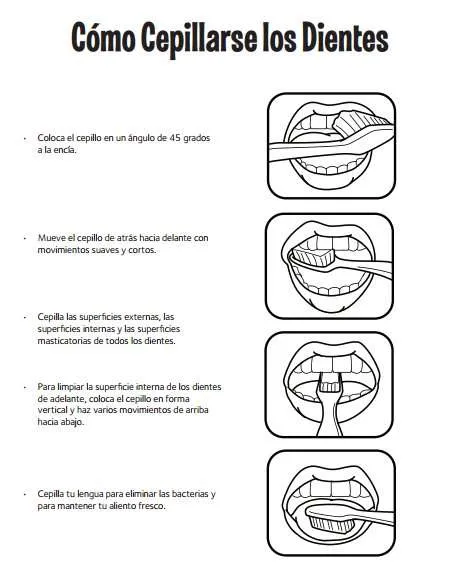 Consejos para cepillarnos correctamente los dientes - Dentisalut