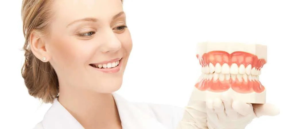 ¿Conoces los nombres de los dientes y sus funciones? - Dentisalut